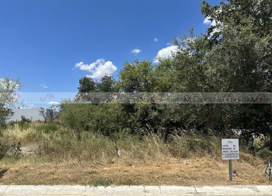 Amorada | Lamudi.com.mx