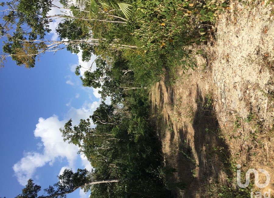 Excelente lote residencial en venta en Tulum región 12 | Lamudi.com.mx