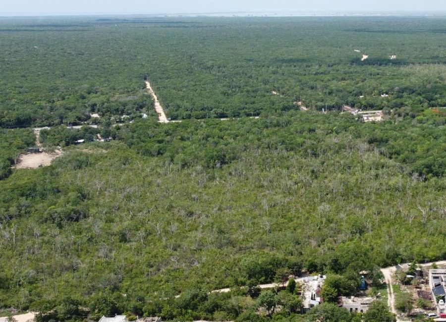 VENTA DE TERRENO EN TULUM REGIÓN 11 | Lamudi.com.mx