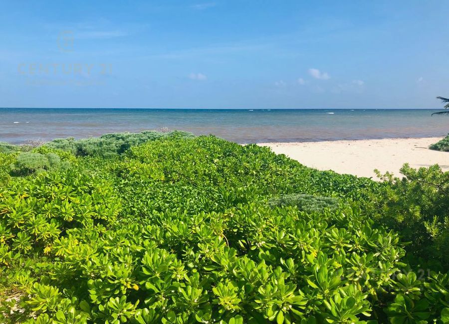 Terreno Frente al Mar Río Indio Mahahual P3862 | Lamudi.com.mx