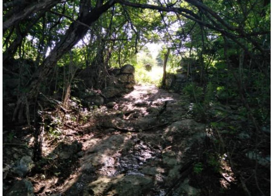 32 Hectares, in Yucatan!! | Lamudi.com.mx