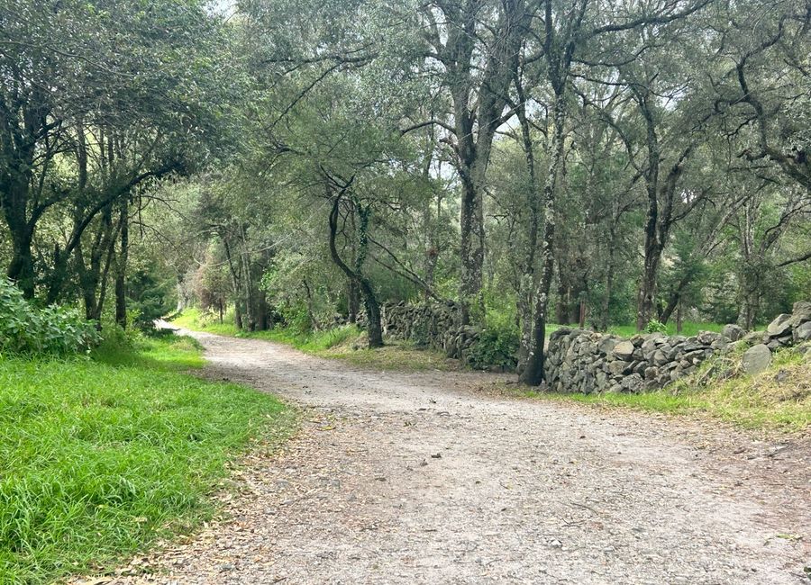 Terreno - El Pirame | Lamudi.com.mx