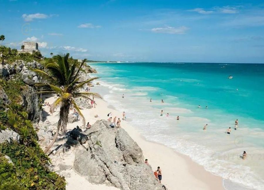 Terreno de 1 ha en venta en Region 15 en Tulum $180 USD x m2 P4347 ...