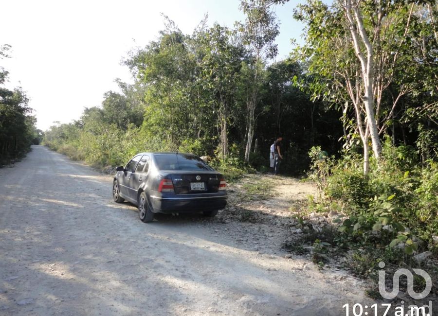 Paraiso en crecimiento 200 hectareas ideales para resort o eco-turismo ...