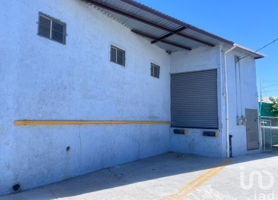 BODEGA EN RENTA ZONA CENTRO | Lamudi.com.mx