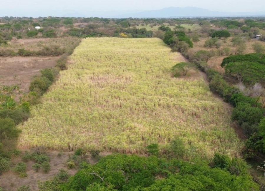 Se vende terreno de 6.3 hectáreas en el Chivato, Colima | Lamudi.com.mx