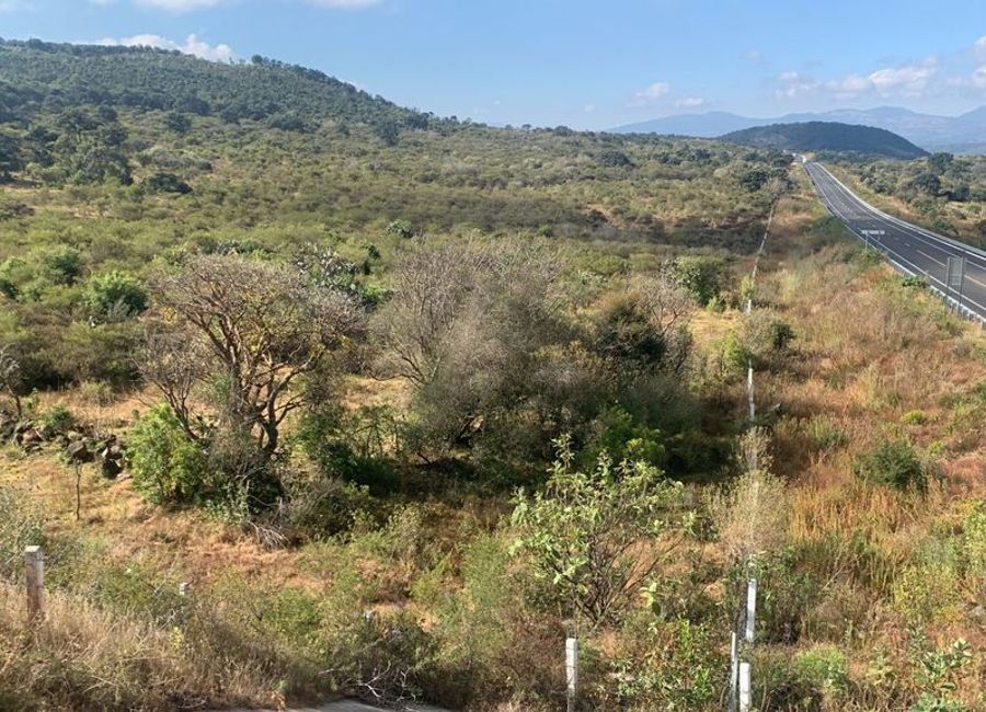 Hectáreas en venta en Chiquimitío (Tarímbaro) | Lamudi.com.mx