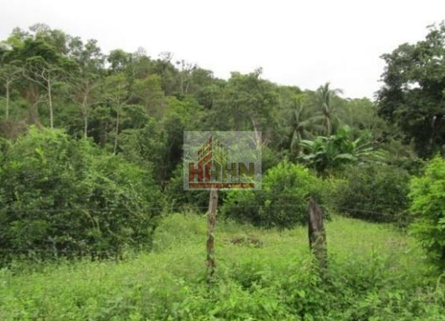 Oaxaca San Felipe Zihualtepec Santiago Yaveo Terreno rustico en venta ...