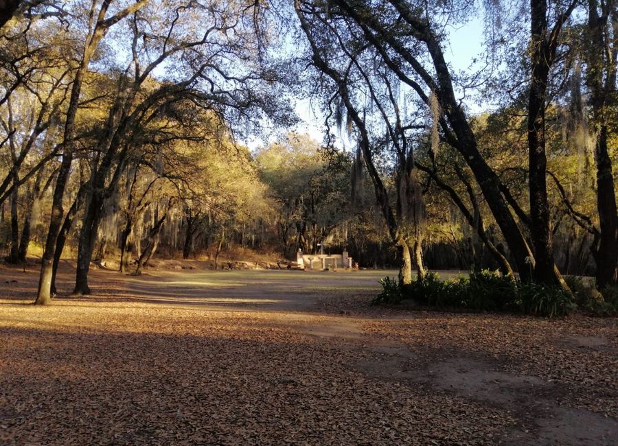 Venta Terreno en Harás Del Bosque, Triangulo La Joya. | Lamudi.com.mx