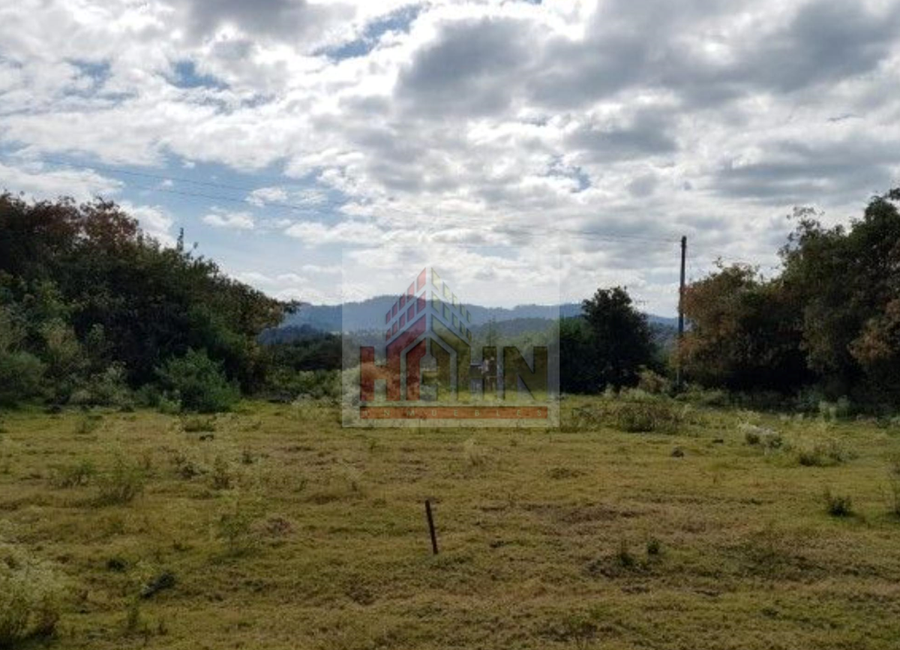 TEQUESQUIPAN TERRENO VENTA TEMASCALTEPEC DE GONZALEZ ESTADO DE MEXICO ...