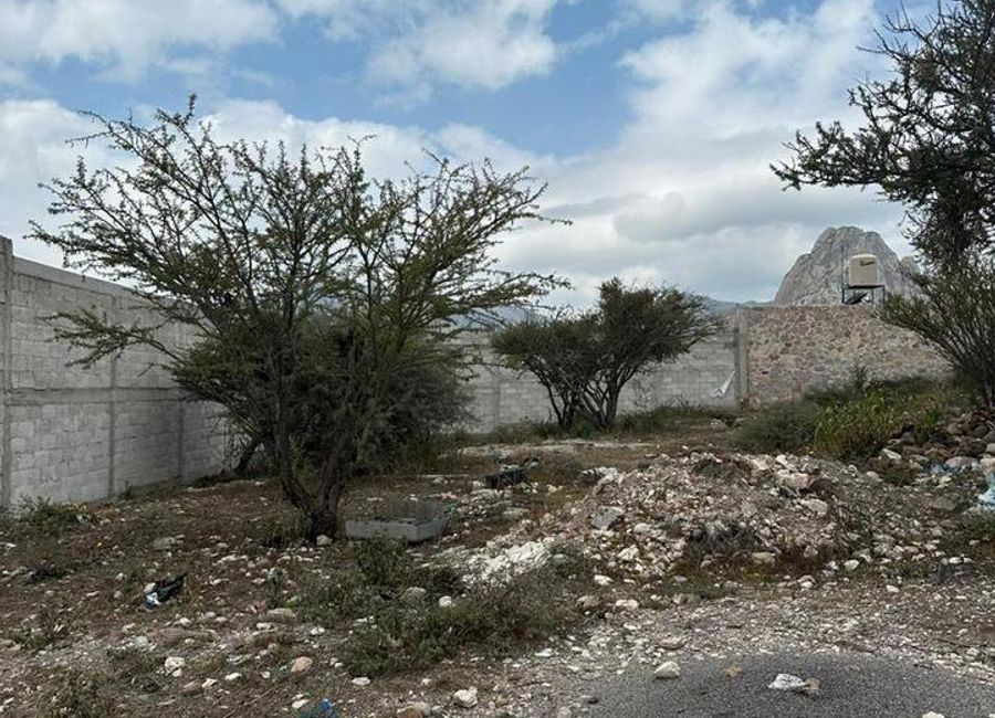 TERRENO TOLIMAN, SAN ANTONIO DE LA CAL QUERÉTARO SUP. 4,500 MTS ...
