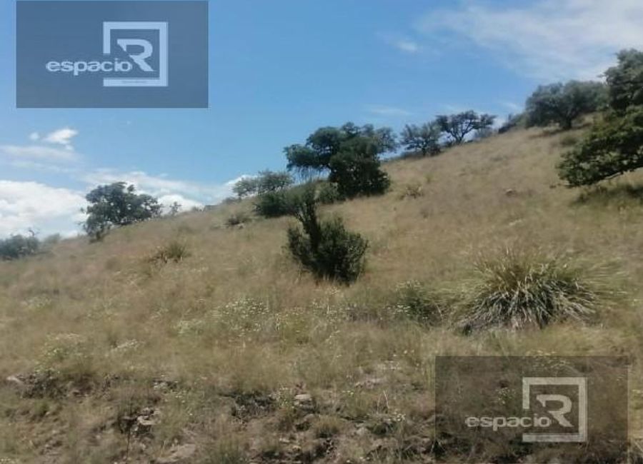 RANCHO EN VENTA EN NAMIQUIPA | Lamudi.com.mx