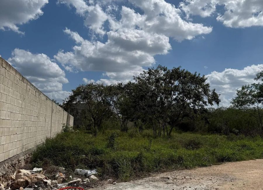 Terreno Residencial en Venta en Chichí Suárez | Lamudi.com.mx