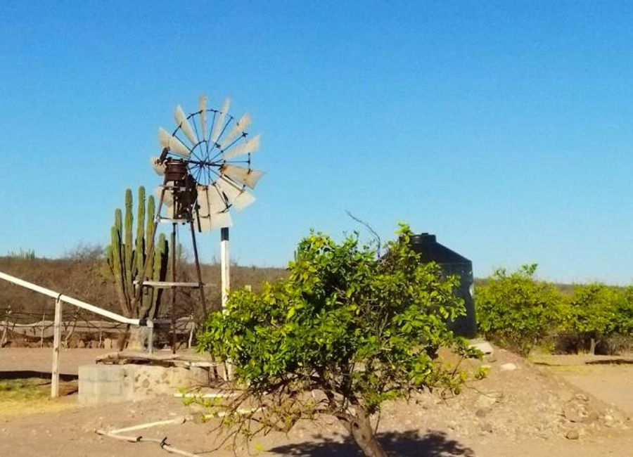 Rancho en VENTA, Rancho en Comondú ,BCS | Lamudi.com.mx