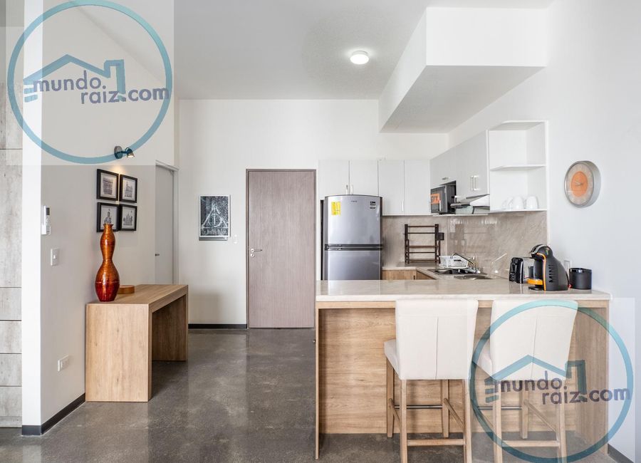 Departamento en Renta Tipo Loft Amueblado Kyo Constella Centro ...