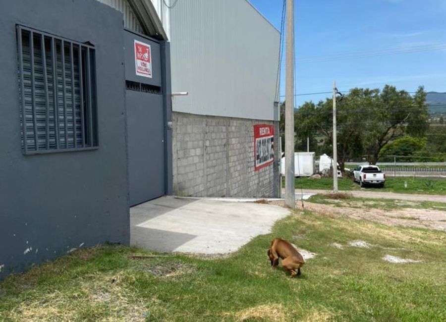 Industrial Warehouse in Santa Rosa Jauregui Business Park Industrial ...