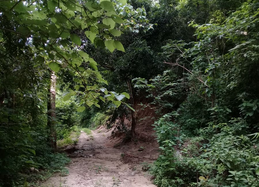 20 Hectareas de terreno con Rio Huatulco | Lamudi.com.mx