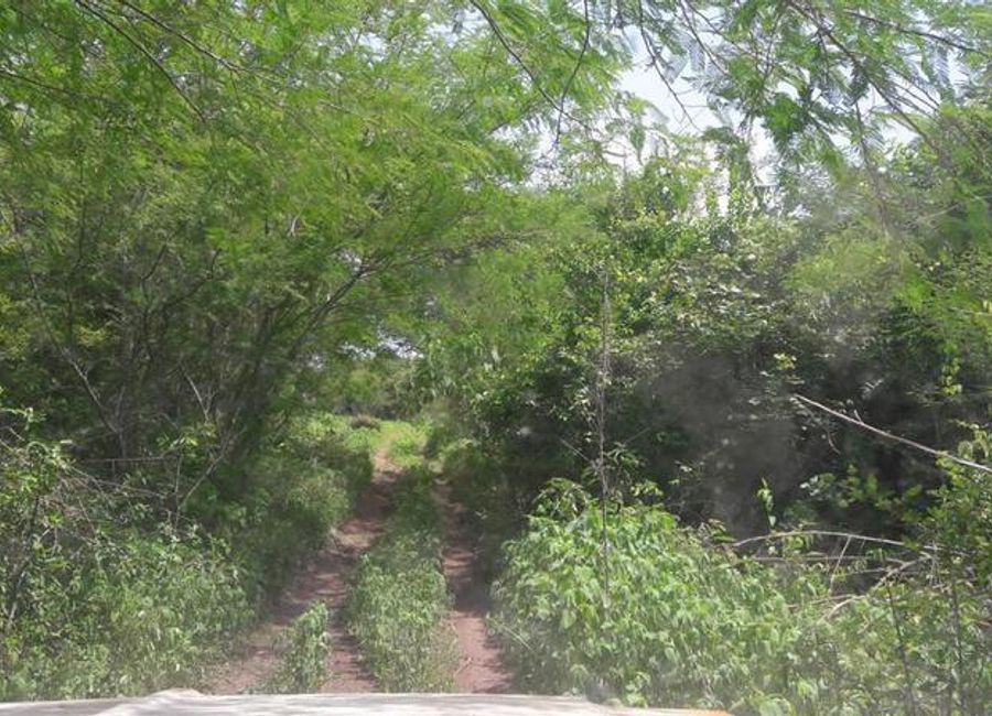 Rancho en venta carretera a Paso de Oveja a la Altura Del Boquerón y el ...