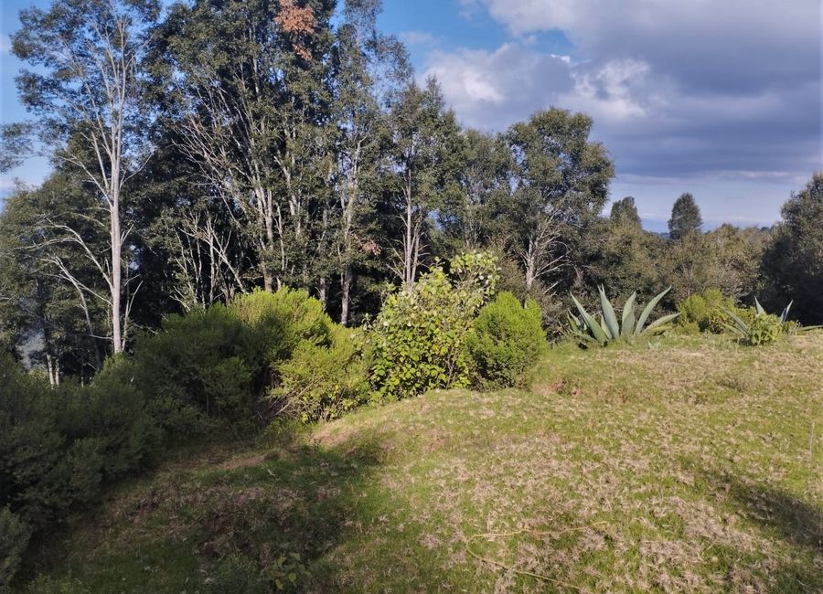 LINDO TERRENO CON HERMOSAS VISTAS PANORÁMICAS, ÁREA BOSCOSA CERCA DE ...