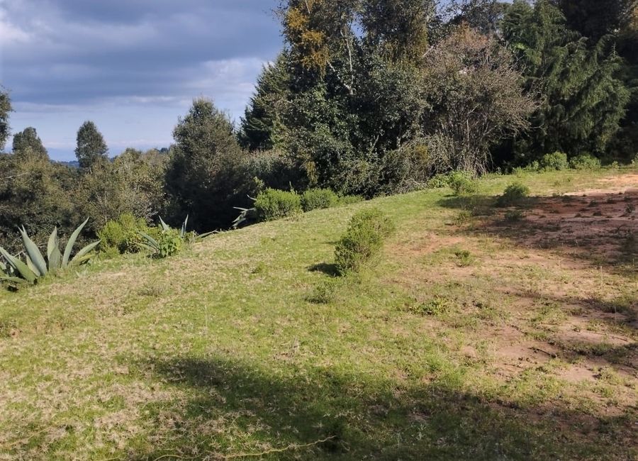 LINDO TERRENO CON HERMOSAS VISTAS PANORÁMICAS, ÁREA BOSCOSA CERCA DE ...