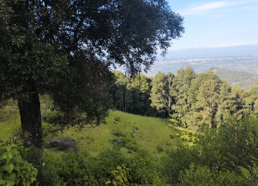 LINDO TERRENO CON HERMOSAS VISTAS PANORÁMICAS, ÁREA BOSCOSA 🌲 CERCA DE ...