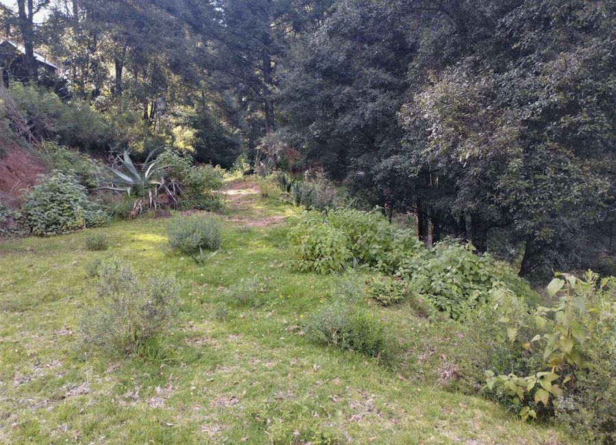 LINDO TERRENO CON HERMOSAS VISTAS PANORÁMICAS, ÁREA BOSCOSA CERCA DE ...