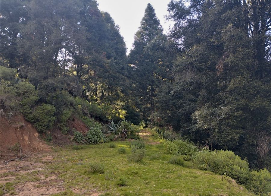 LINDO TERRENO CON HERMOSAS VISTAS PANORÁMICAS, ÁREA BOSCOSA CERCA DE ...