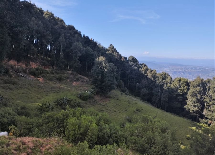 LINDO TERRENO CON HERMOSAS VISTAS PANORÁMICAS, ÁREA BOSCOSA CERCA DE ...