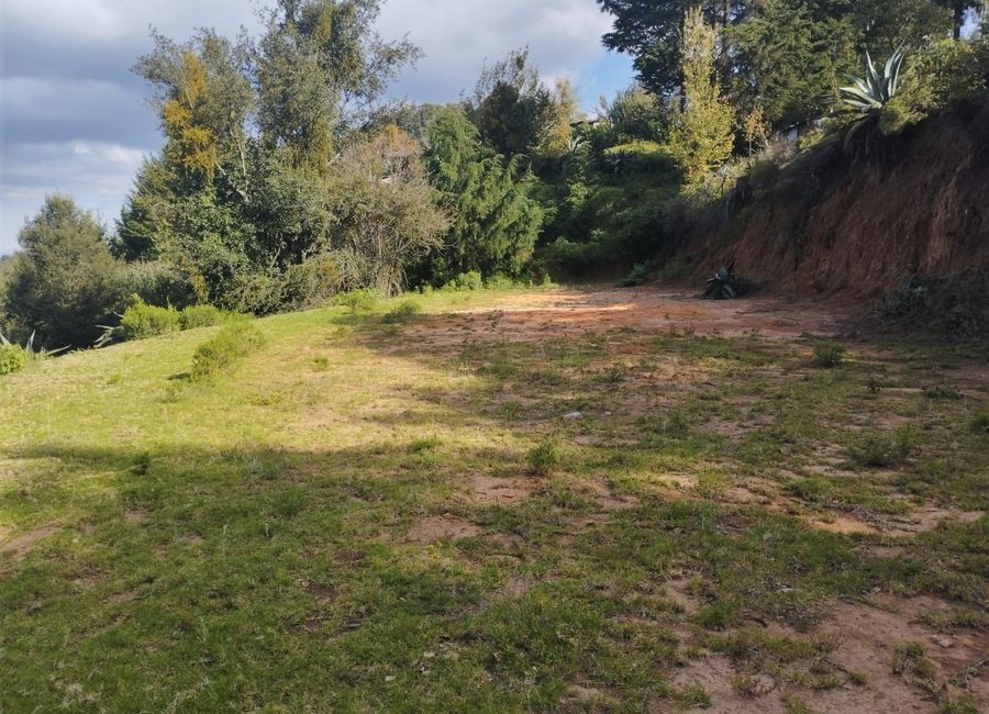 LINDO TERRENO CON HERMOSAS VISTAS PANORÁMICAS, ÁREA BOSCOSA CERCA DE ...