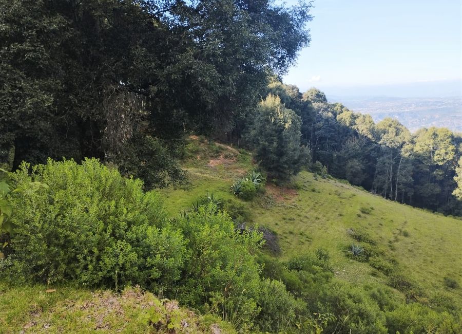 LINDO TERRENO CON HERMOSAS VISTAS PANORÁMICAS, ÁREA BOSCOSA CERCA DE ...