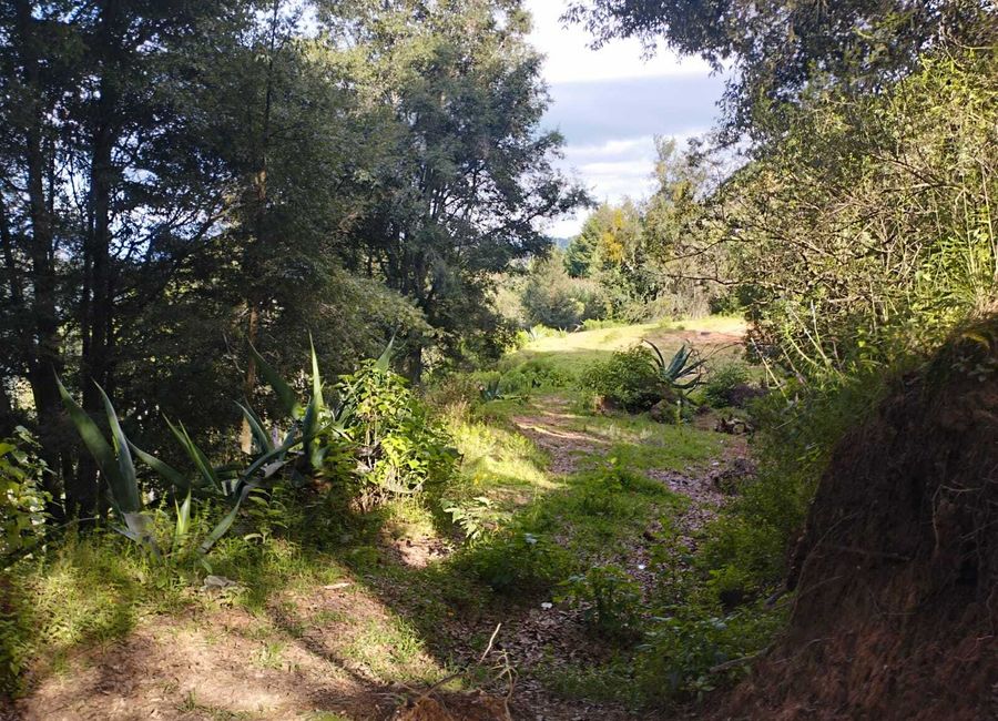 LINDO TERRENO CON HERMOSAS VISTAS PANORÁMICAS, ÁREA BOSCOSA CERCA DE ...