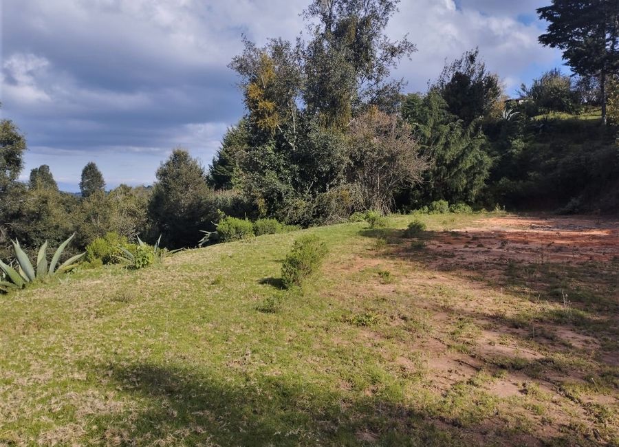 LINDO TERRENO CON HERMOSAS VISTAS PANORÁMICAS, ÁREA BOSCOSA CERCA DE ...