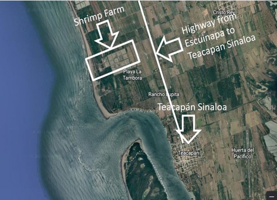 Descubre tu propio paraíso en la tierra en la hermosa Playas de ...