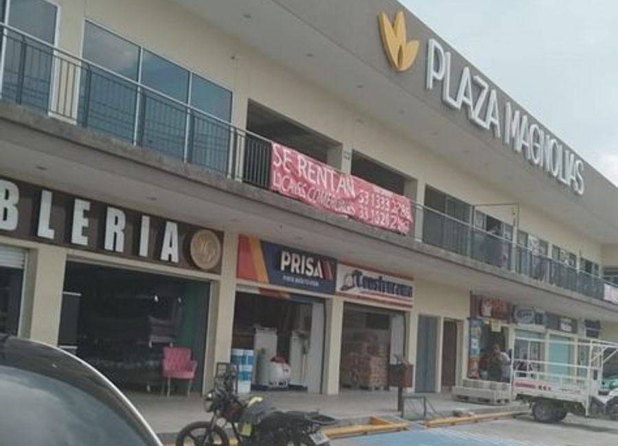 PLAZA MAGNOLIAS 3 | Lamudi.com.mx