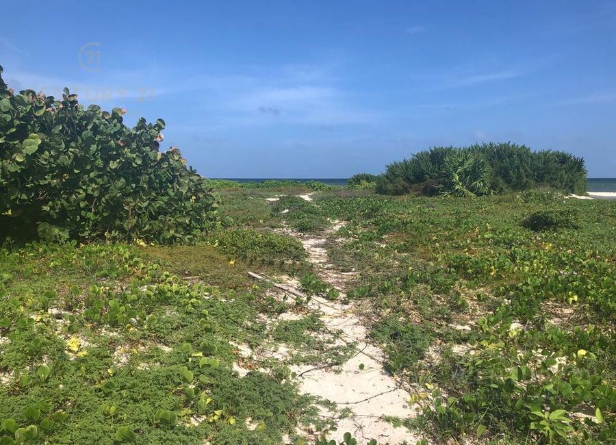 Terreno Frente al Mar Río Indio Mahahual P3862 | Lamudi.com.mx