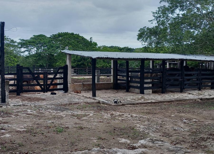 Rancho en venta, Panaba | Lamudi.com.mx