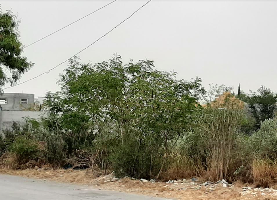 TERRENO EN VENTA * RINCONADA COLONIAL APODACA * APODACA NUEVO LEÓN ...