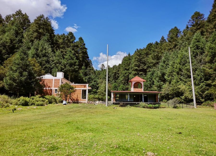 ¡DISFRUTA DE LA VIDA EN EL BOSQUE: MONTE REAL LAS FLORES TE INVITA ...