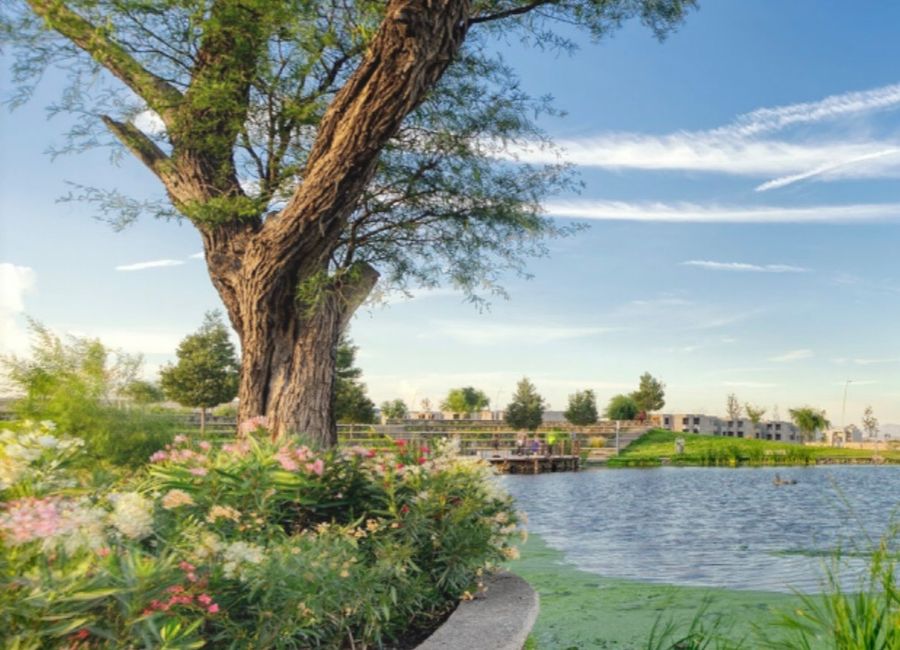Venta Casa en Zakia Querétaro, Lago, Áreas Verdes, Parque para Mascotas ...