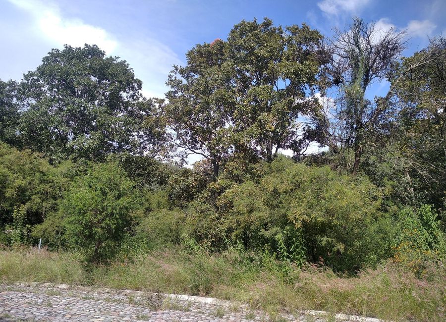 Haras del Bosque, fraccionamiento La Joya | Lamudi.com.mx