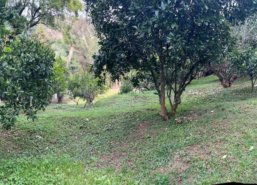 🌿 RANCHO EN VENTA –TEMASCALTEPEC 🌿 🏡 Paraíso natural a solo 20 min. de ...