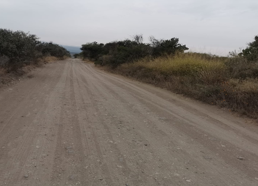 TERRENO EN VENTA TLACOTE EL BAJO (EL GACHUPIN) COLINDANTE A HUERTAS LA ...