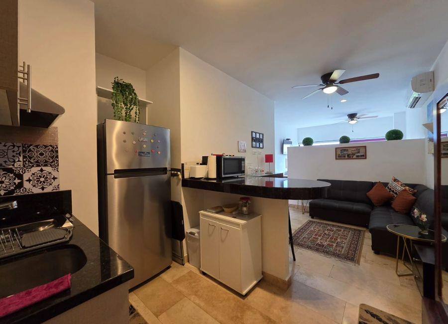 DEPARTAMENTO AMUEBLADO TIPO LOFT EN SKY, SAN RAMON NORTE | Lamudi.com.mx