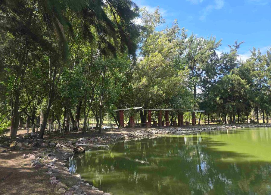 venta-terreno-500-mts-santuario-santa-rita-lamudi-mx