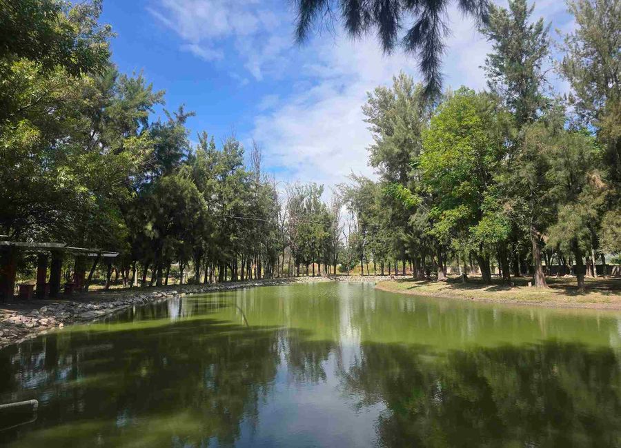 venta-terreno-500-mts-santuario-santa-rita-lamudi-mx