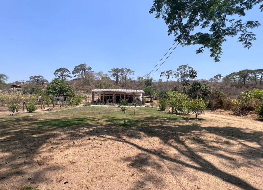 Rancho con árboles frutales y excelente ubicación en El Tuito, Jalisco ...