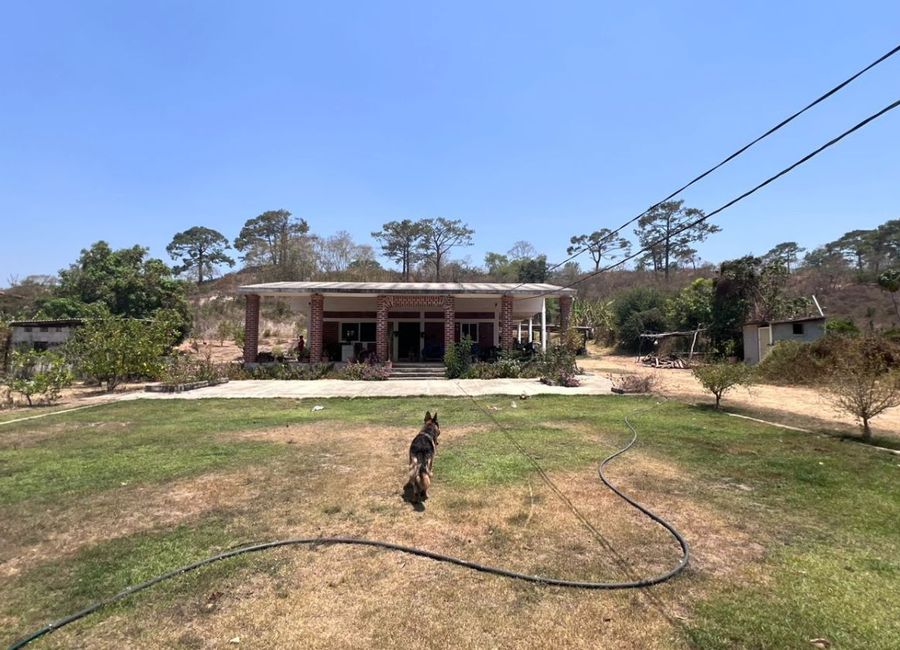 Rancho con árboles frutales y excelente ubicación en El Tuito, Jalisco ...