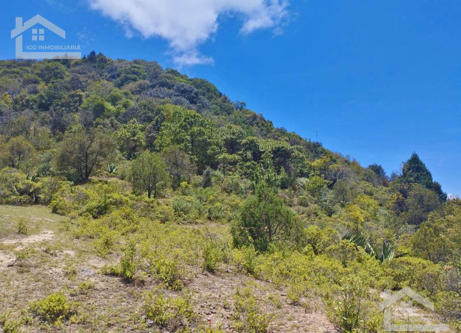 TERRENO CON MUY BONITA VISTA EN MINERAL DEL MONTE PUEBLO MÁGICO ...