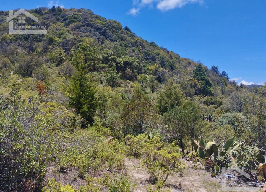 TERRENO CON MUY BONITA VISTA EN MINERAL DEL MONTE PUEBLO MÁGICO ...