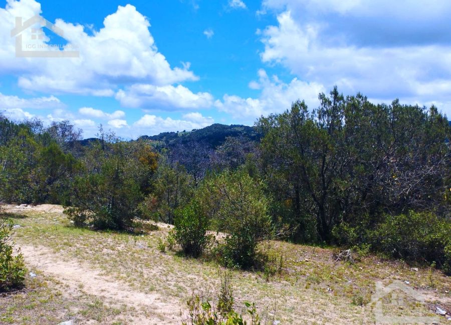 TERRENO CON MUY BONITA VISTA EN MINERAL DEL MONTE PUEBLO MÁGICO ...